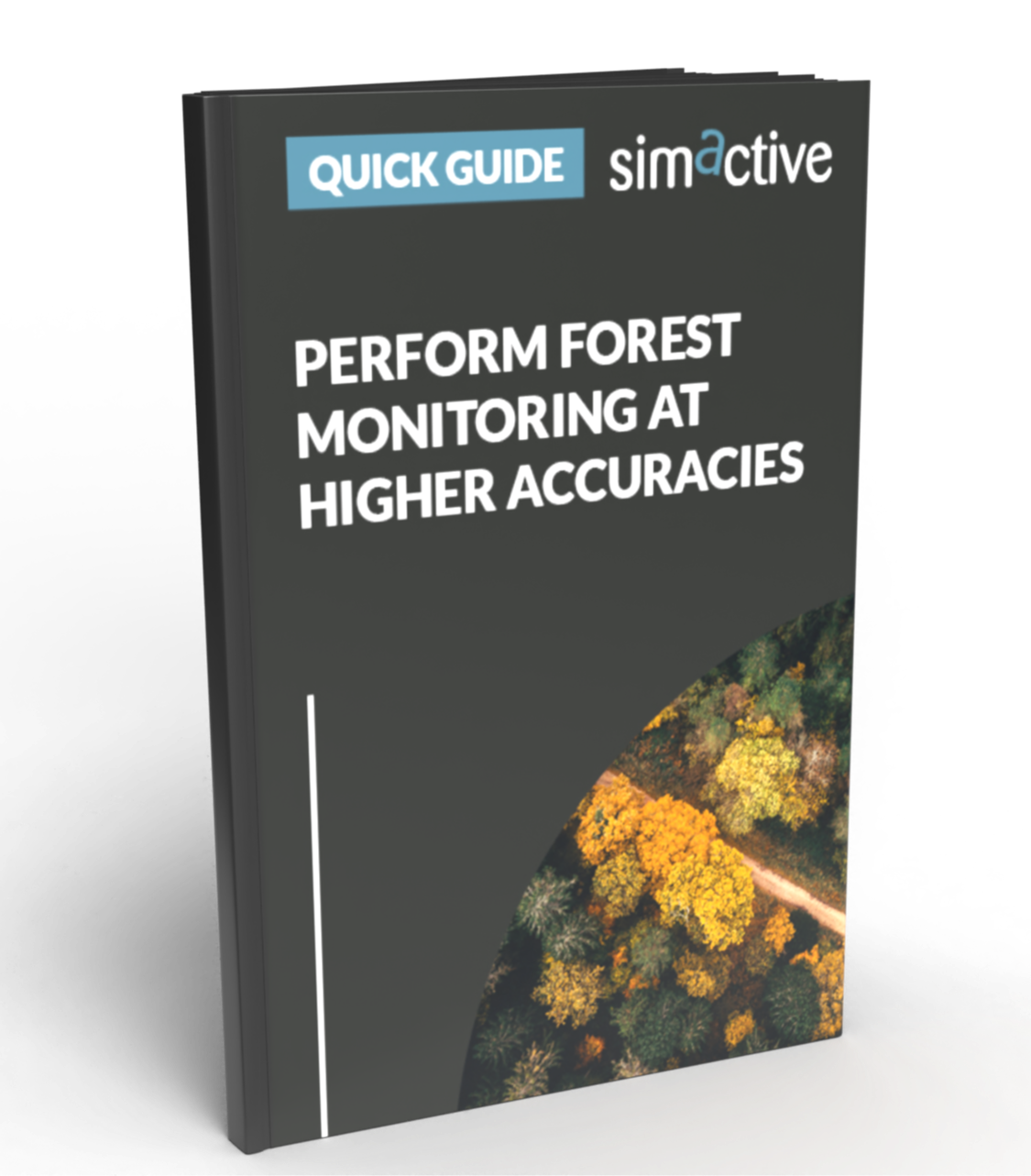 Form Forestry | SimActive