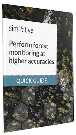 Industries - Forestry | SimActive